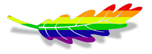 LGBTQIA+ Independent Sexual Violence Advocacy Service - WMRSASC